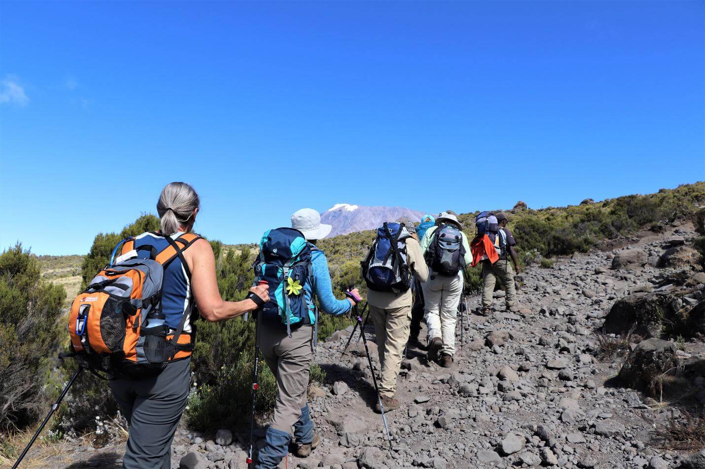 Experience the Best 13 Days Mt Kilimanjaro & Tanzania Safari